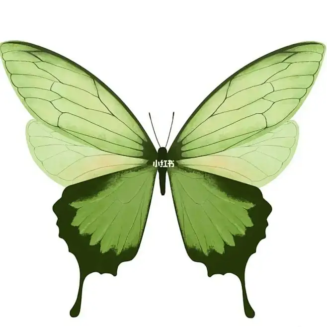 点击查看图片来源-花瓣网