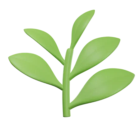 Leaves 3D Icon-花瓣网