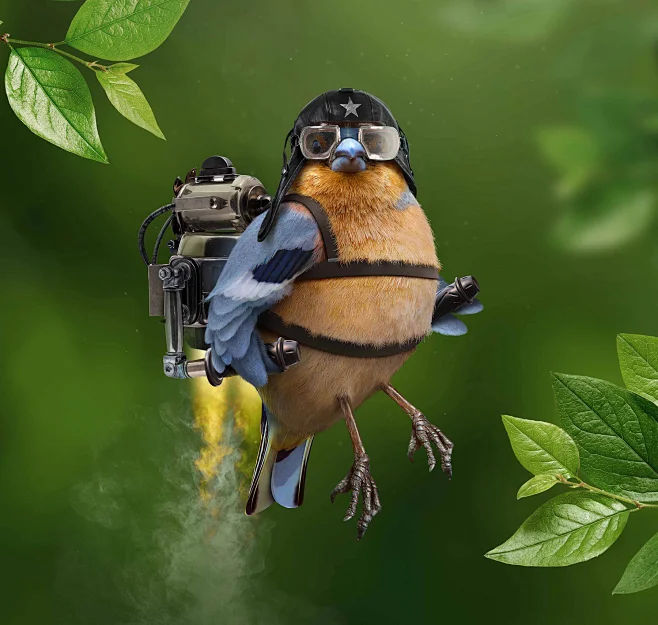 Rocket Bird图片_创意合成图片素材-花瓣网