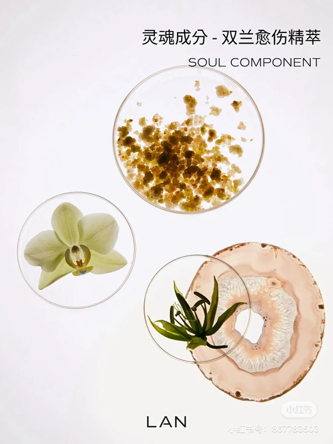 IMG_5748(20231025-114123)-花瓣网