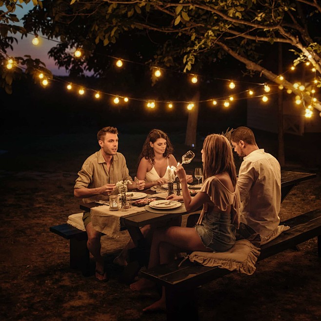 smart string lights dinner