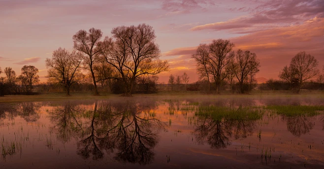 Flow / 500px-花瓣网
