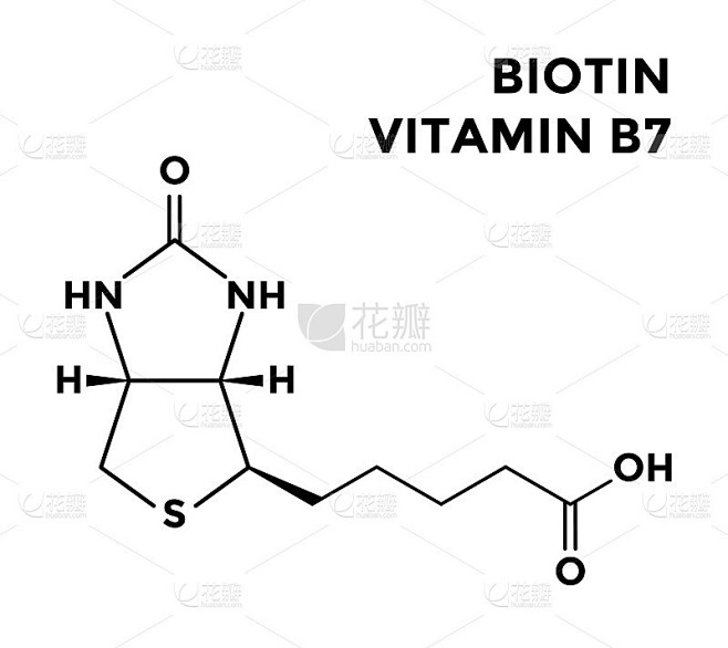 维生素b7生物素结构化学式