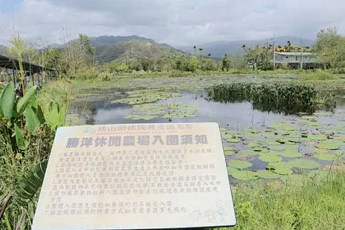 胜洋水草农场_百度图片搜索-花瓣网