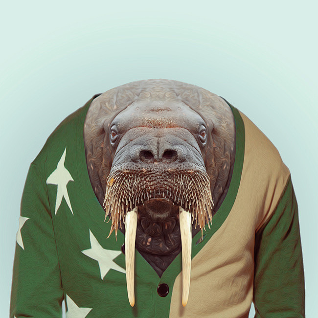 巴塞罗那摄影师 Yago Partal－动物园肖像。头像。另类。个性。