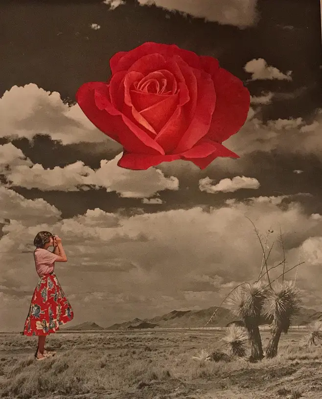 花瓣灵感详情页-花瓣网