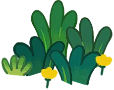 卡通自然图片大全-卡通自然高清好看的图片--花瓣Kieran~的画板