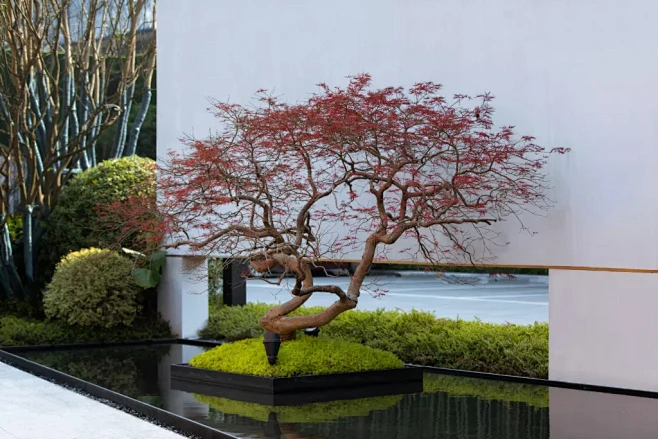 长沙万科紫台C展示区景观 / 创翌善策 – mooool木藕设计网-花瓣网