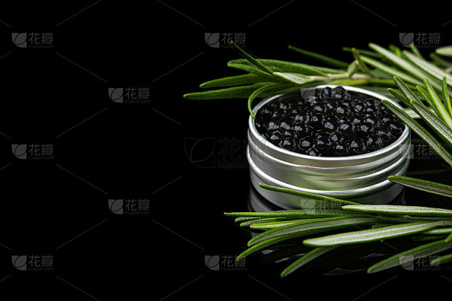 黑鱼子酱配新鲜的绿色迷迭香