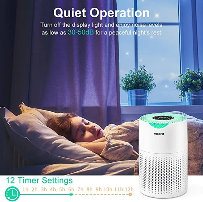 Amazon.com: KOKOFIT 小型便携式空气净化器 适用于家庭大房间 带真正的 HEPA 过滤器空气净化器 适用于过敏和宠物、吸烟者 ...