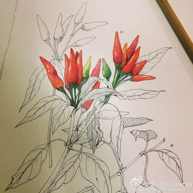 花瓣灵感详情页-花瓣网