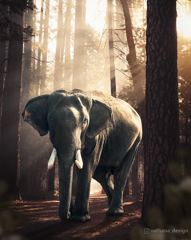 Photo Manipulation Portfolio图片_脑洞大开图片素材-花瓣网