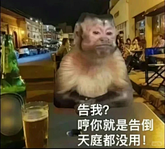 乐子表情包-花瓣网|陪你做生活的设计师 | 小红书 - 你的生活指南