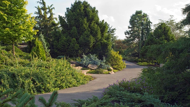 Chicago Botanic Garden – Dwarf Conifer Garden : Hoerr Schaudt’s ...