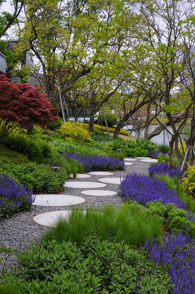 麓湖C28样板房花境|观察记 - 小红书