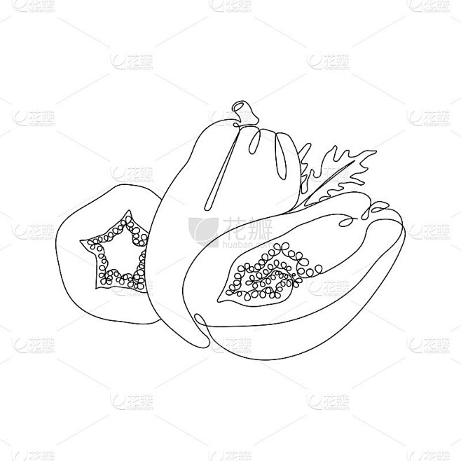 黑色连续的单线画。木瓜异国情调的水果。矢量插图。最小的抽象艺术。白色背景上的黑色线性艺术