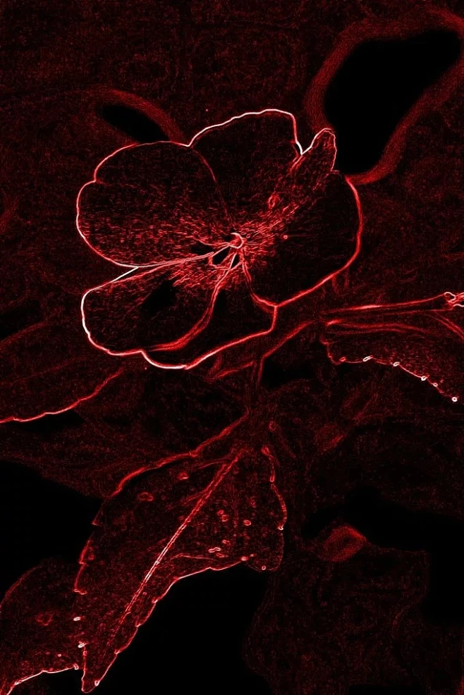 pc_680_webp.webp-花瓣网