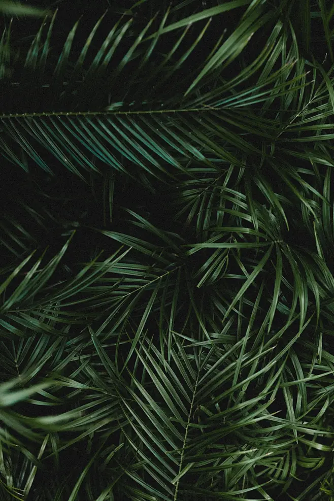 Beautiful Free Images & Pictures | Unsplash : Beautiful, free images ...