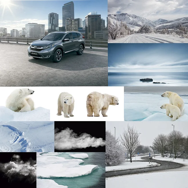 animals Honda car Nature natural eagles bear monkey gorilla future图片_汽车 ...