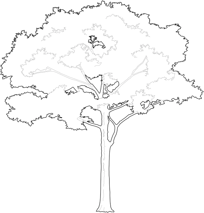 Proud and tall tree 2d trees - 103 - pimpmydrawing-花瓣网