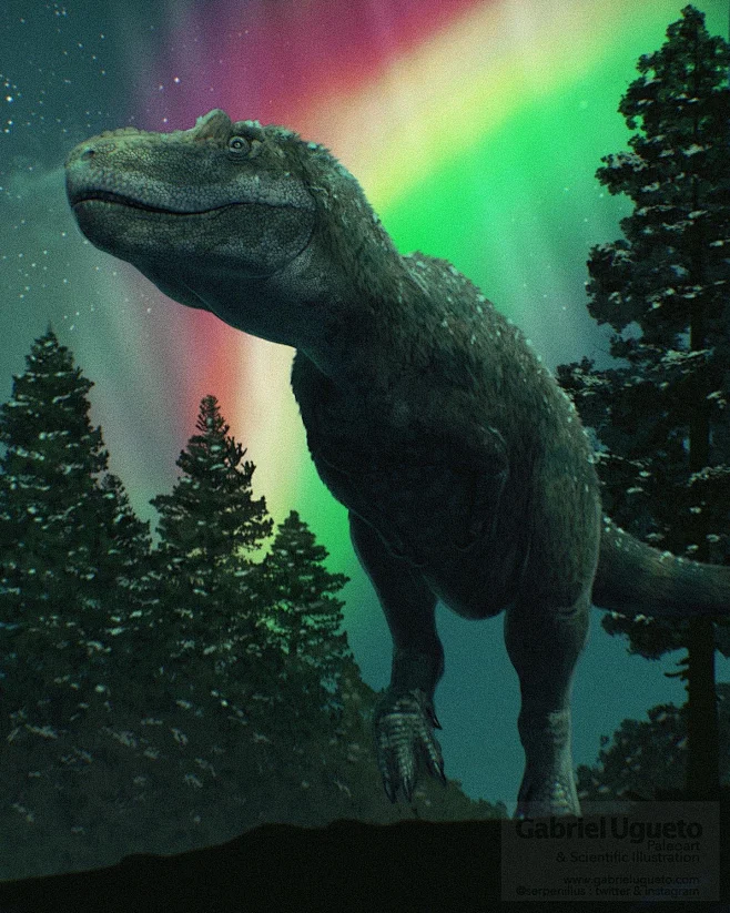 20230131_165248-花瓣网