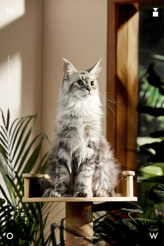 010utdmrqlxivjs0bwqyp23234-花瓣网