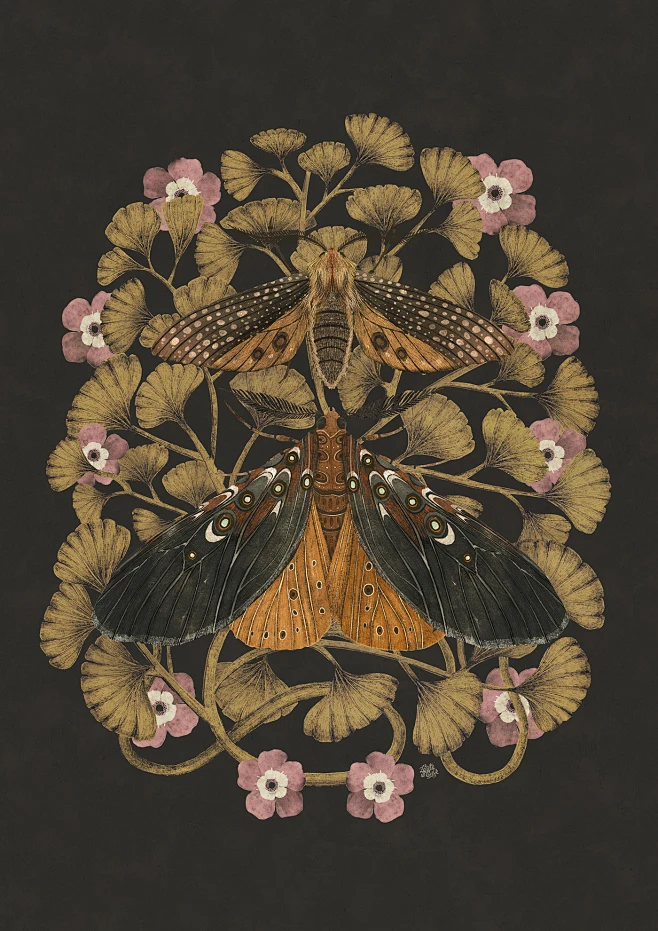 ILLUSTRATION botanical illustration botanical nature illustration ...