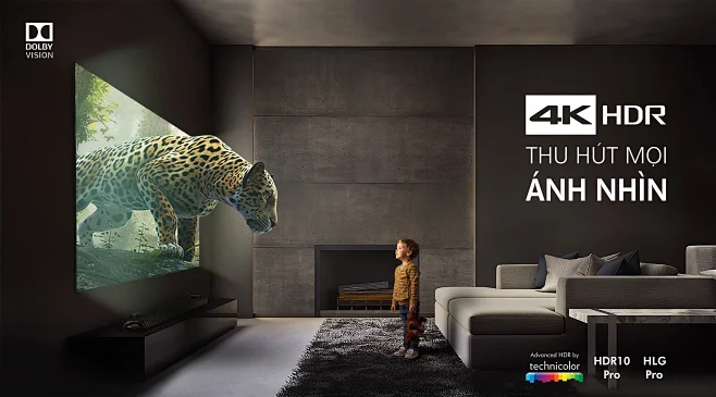 DOLBY VISION | POSTER-花瓣网