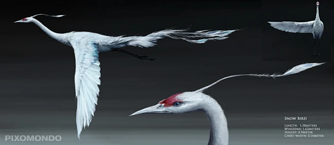 wei-guan-image.jpg (1920×834)-花瓣网