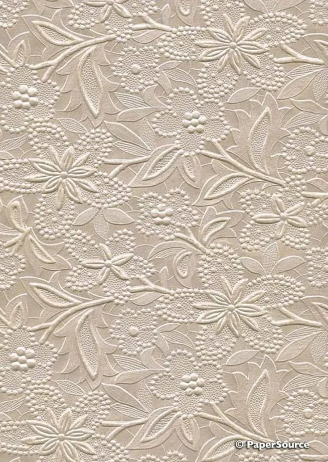 Paper Source Tan-花瓣网