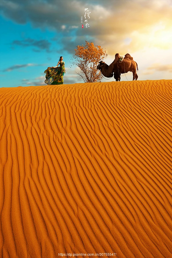 大漠长歌-花瓣网