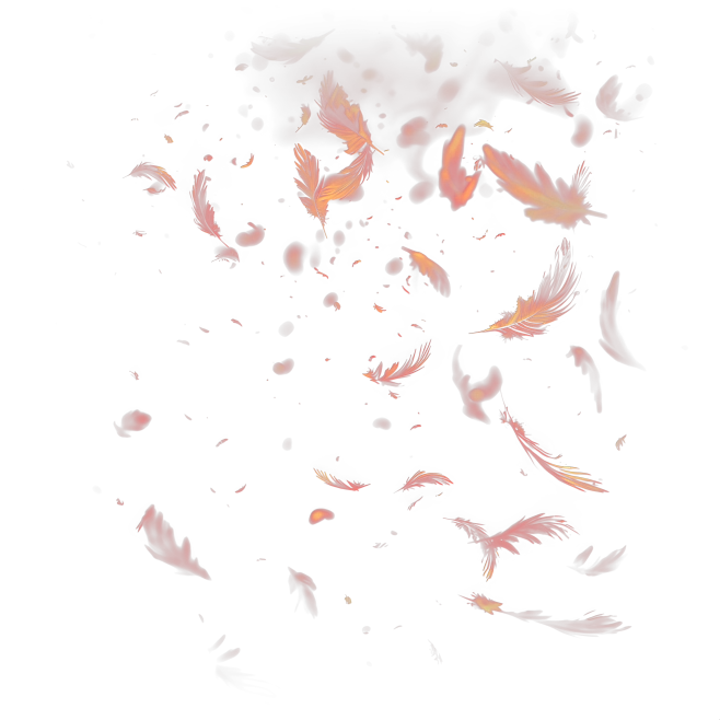 Colored Feather Overlay_Walllow_13-花瓣网