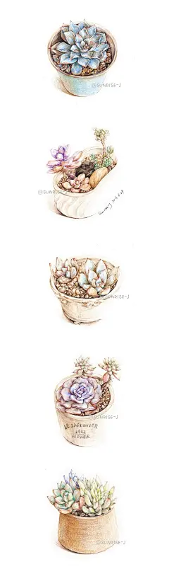 duo rou图片大全-duo rou高清好看的图片--花瓣5p8HJCVl的画板