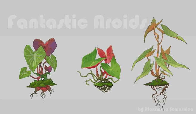 Fantastic aroids-花瓣网