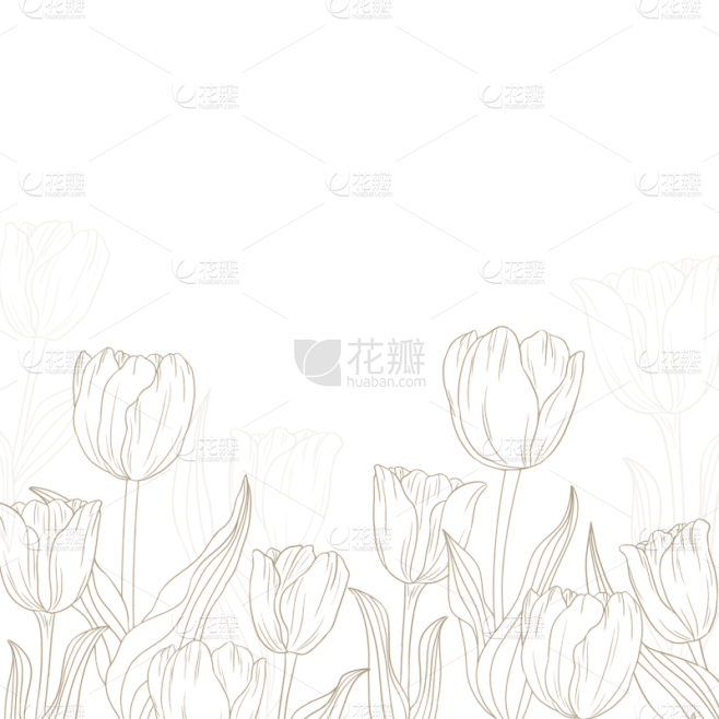 简约线条郁金香插画元素