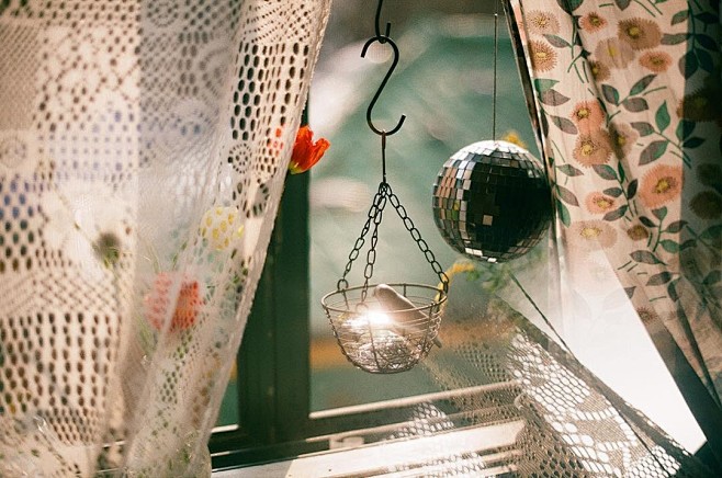 rie_rabbit (277)_5501778291