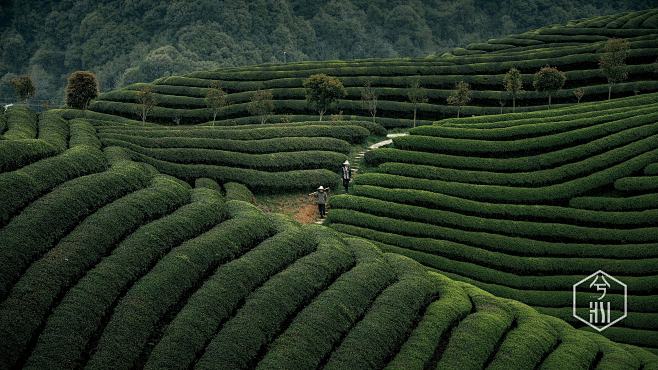 src=http___img..cn_community_01d7135e43f9e3a80121651835f91c.jpg@3000w_1l_2o_100sh.jpg&refer=http ...