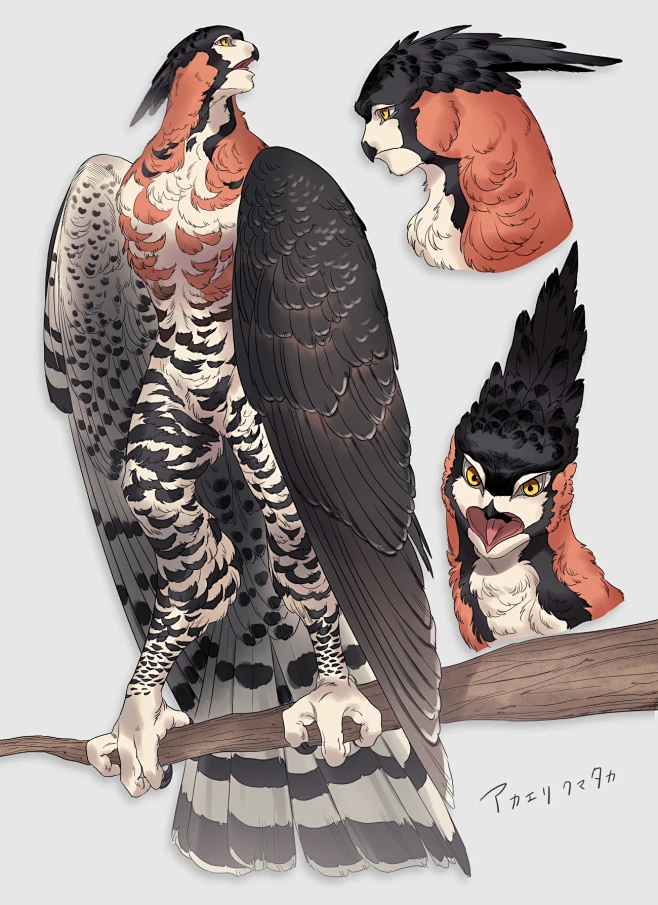 78511922_p50-花瓣网