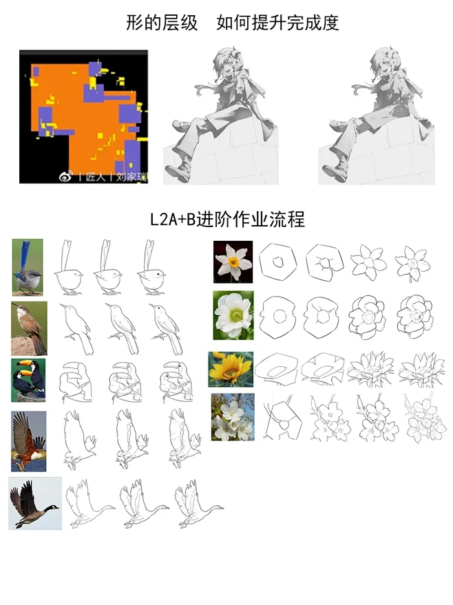 Krenz_k大动态与构成课_笔记与心得L2_1_林在绘_来自小红书网页版