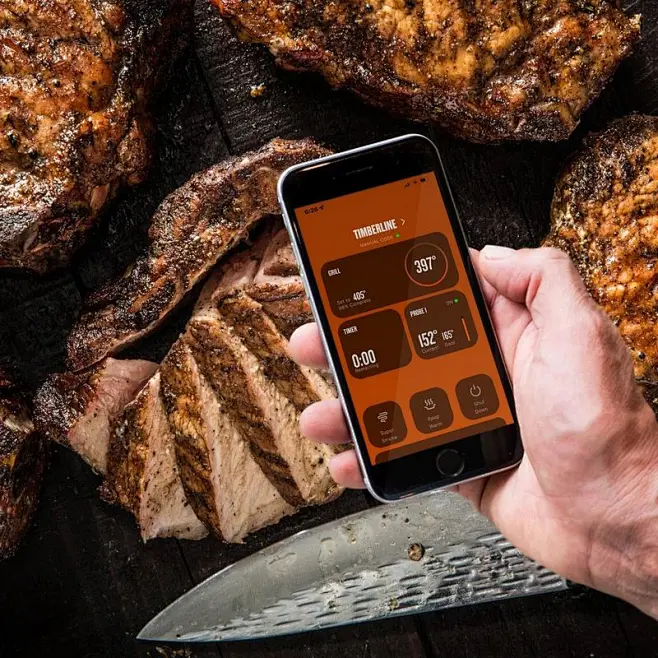 Traeger Pro Grills | Traeger Grills-花瓣网