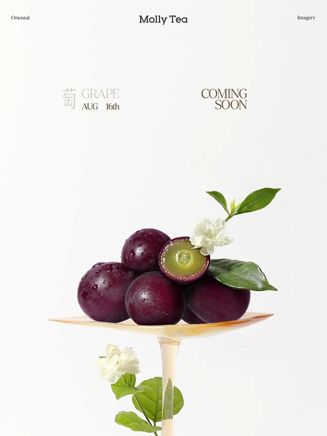 @茉莉奶白MollyTea 的个人主页 - 微博-花瓣网