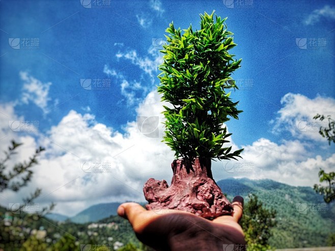 这是一幅手握人造树的画。