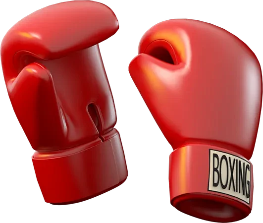 Boxing Gloves 3D Icon