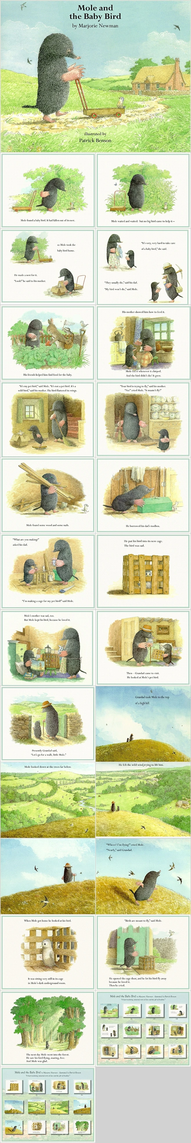 Mole and Baby Bird绘本故事-花瓣网