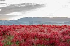 Sumie plum by bsshka on DeviantArt-花瓣网