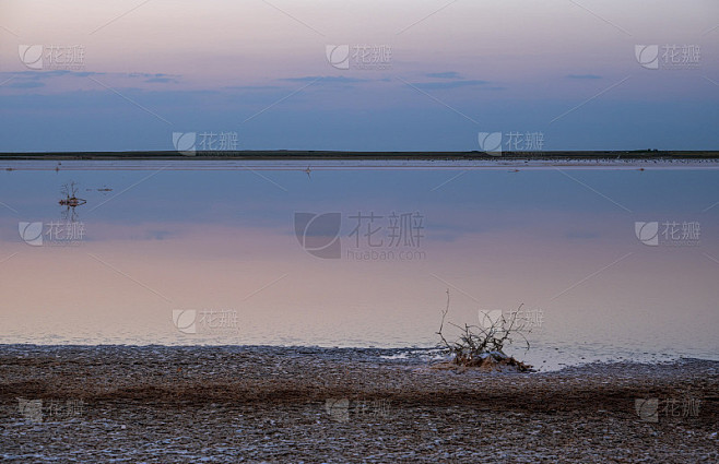 日落，Genichesk粉红色盐湖，乌克兰