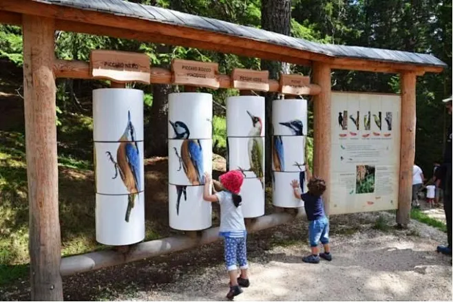 Park Signage, Wayfinding Signage, Signage Design, Playgrounds ...