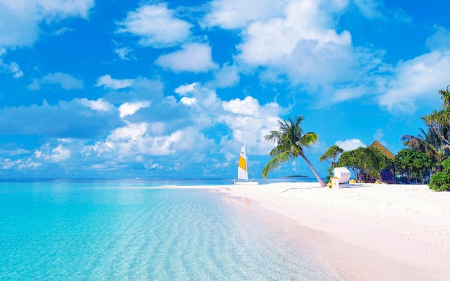 Tropical_Island_Beach_Palm_Exotic_Vacation_1920x1200