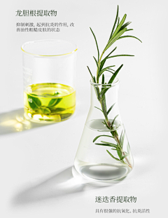 待分类-花瓣网|陪你做生活的设计师 | scopic_models_small_glass_flowers_scattered ...