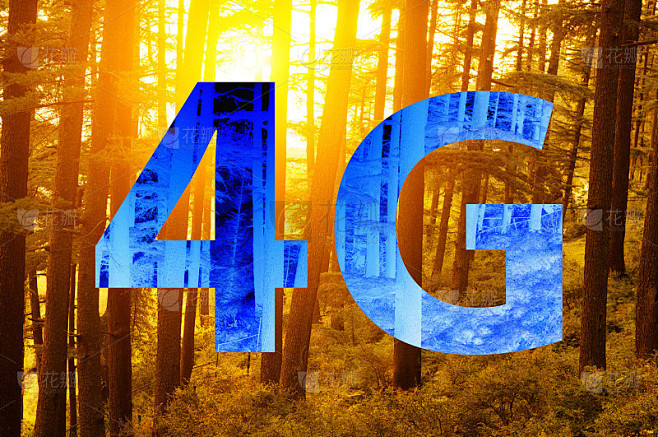 4g文本森林背景。